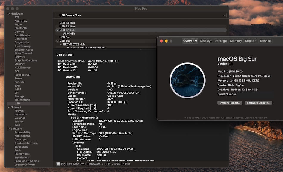 2 Port SuperSpeed Plus USB 3.1 PCI-Express Adapter (Type-C Port x2 ...